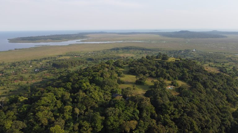 Nkima Forest Lodge – Take a break in the forest